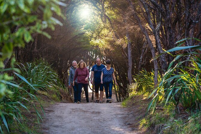 Abel Tasman Heli-Hike - An In-Depth Look at the Abel Tasman Heli-Hike Experience