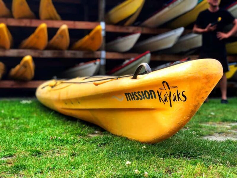Abel Tasman Kayaks: 3 Day Kayak and Walk North - Key Points
