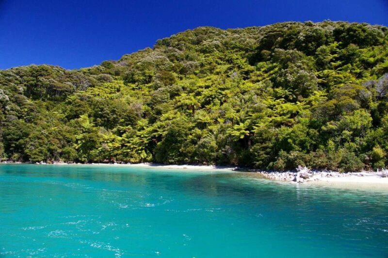 Abel Tasman National Full Park Scenic Cruise - FAQs