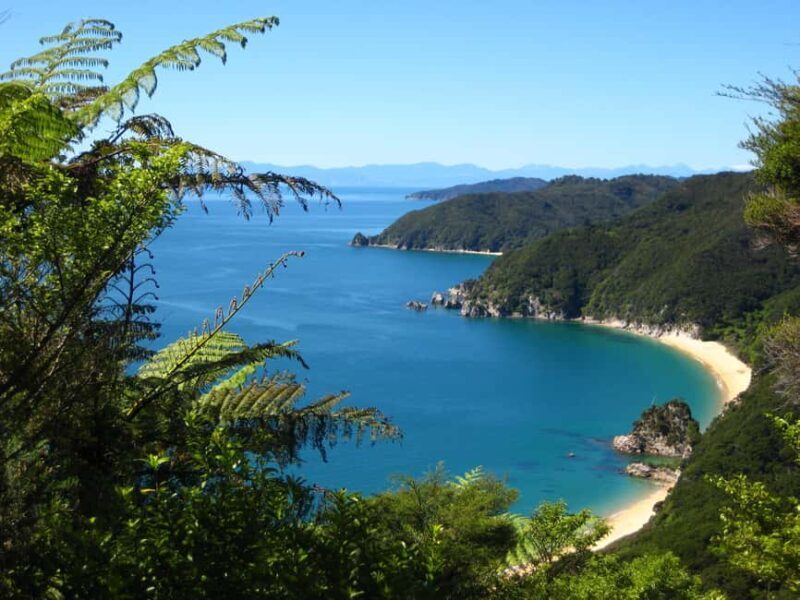 Abel Tasman National Park: Cruise and Hike Full-Day Tour - Who Would Love This Tour?