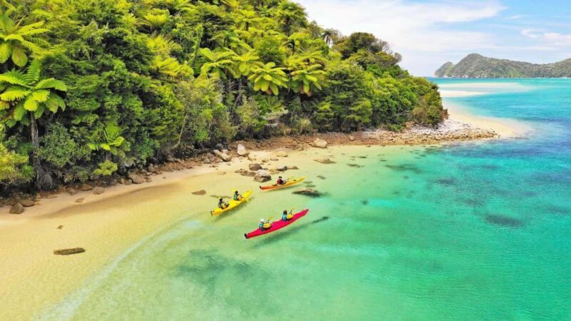 Abel Tasman National Park: Cruise, Kayak, & Hike Tour - The Value of This Tour