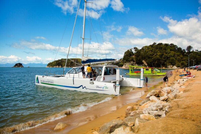 Abel Tasman National Park: Cruise, Walk & Sailing Tour - The Experience in Practice: What Travelers Say