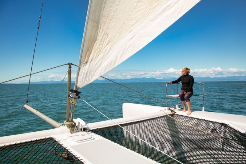 Abel Tasman National Park: Day Sailing Adventure with Lunch - Practical Tips for Your Trip