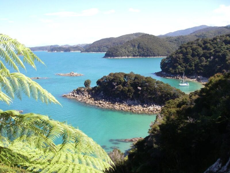 Abel Tasman National Park: Sailing and Self-Guided Walk - The Self-Guided Walk