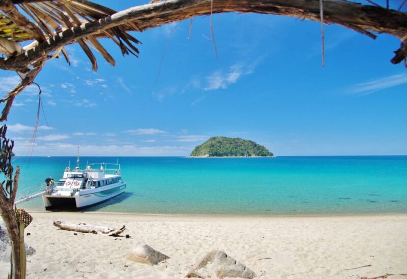 Abel Tasman: Sea Shuttle Cruise and Walking Tour Combo - Key Points