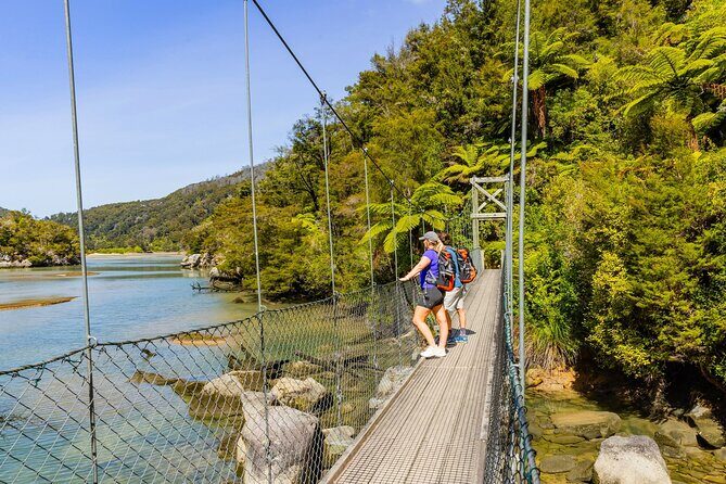 Abel Tasman Vista Cruise - Who Should Take This Tour?