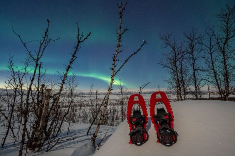 Abisko: Aurora Snowshoeing - A Deep Dive into the Experience