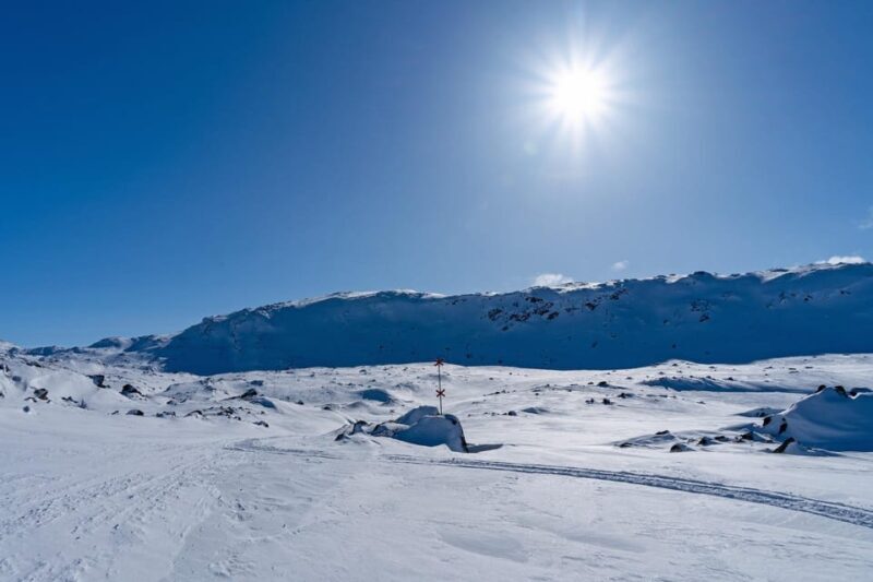 Abisko: Great Outback Snowmobile Tour with Lake Abiskojaure - Key Points