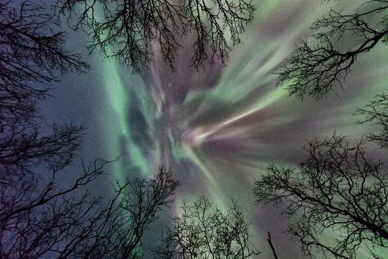 Abisko: Guided Autumn Aurora Chase with Hotel Transfers - Inclusion & Practicalities