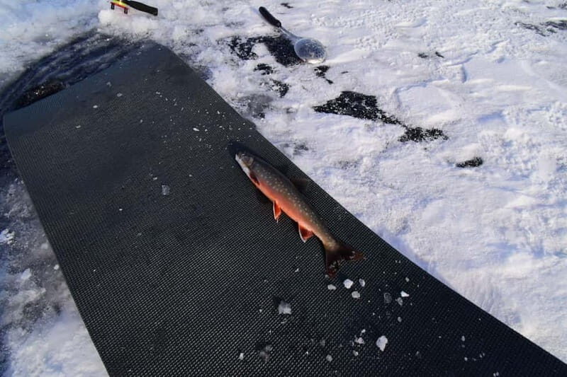 Abisko: Ice Fishing Experience - The Value and Practicalities