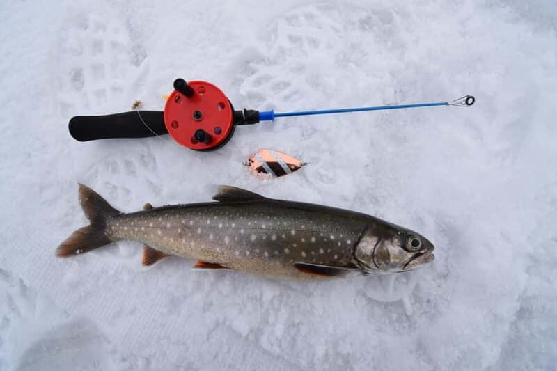 Abisko: Ice Fishing Experience - Why This Tour Is Worth Considering