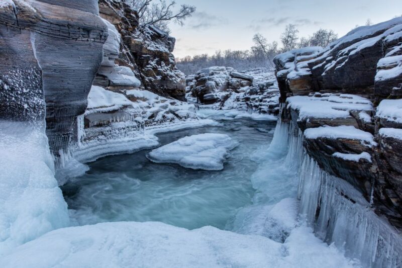 Abisko National Park: Scenic Morning Hike with Transfer - Who Will Love This Tour?