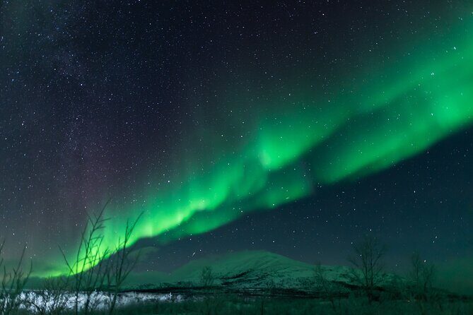 Abisko Northern Lights Tour with Photographer - The Experience: What to Expect and Why It Matters
