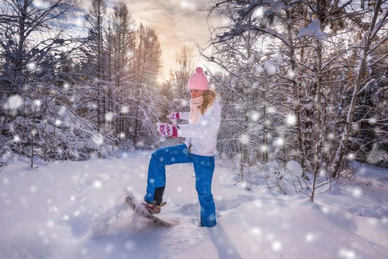 Abisko: Wilderness Snowshoe Hike - Pricing and Value