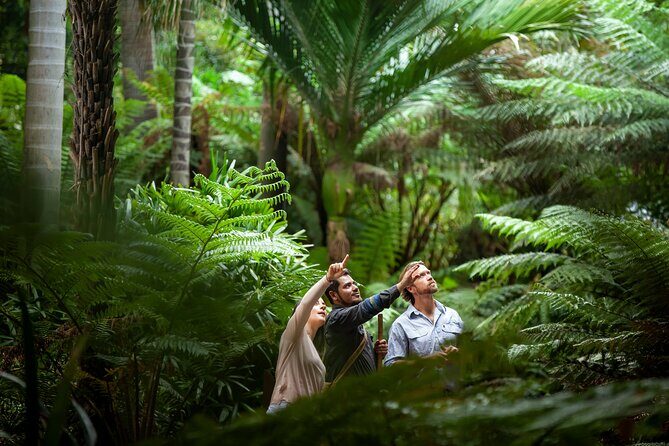 Aboriginal Heritage Walk - Royal Botanic Gardens Victoria, Melbourne Gardens - Discover Aboriginal Heritage at Melbourne’s Royal Botanic Gardens