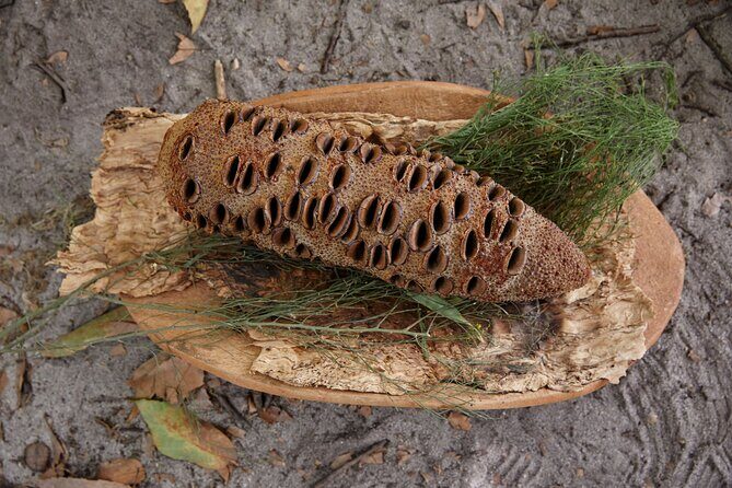 Aboriginal Heritage Walk - Royal Botanic Gardens Victoria, Melbourne Gardens - Detailed Breakdown of the Itinerary