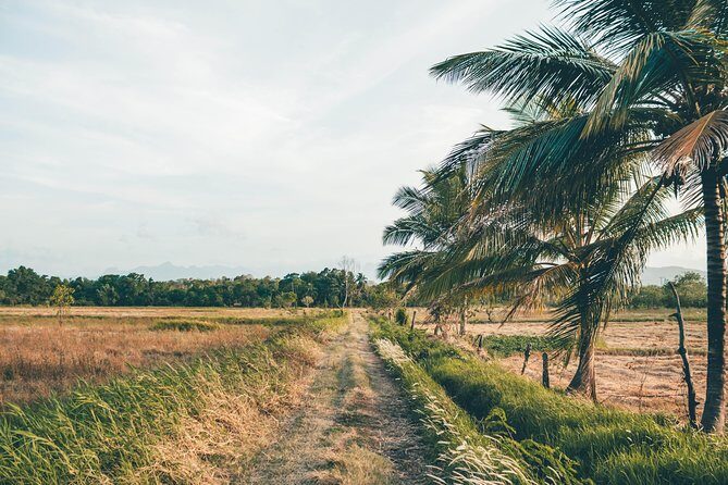 Aboriginal Village Tour from Kandy - The Sum Up