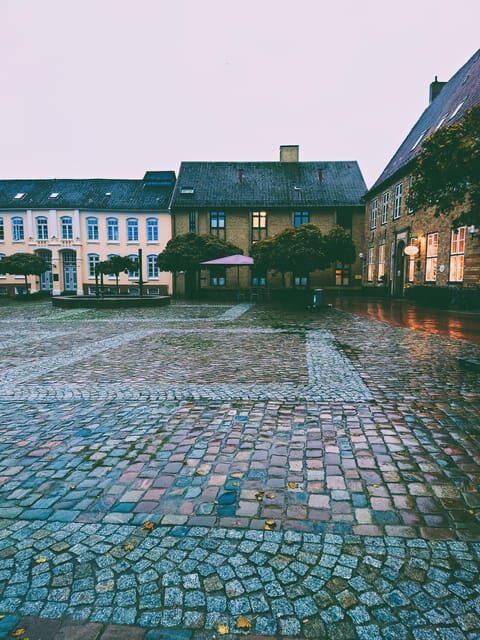 About Vikings, kings and cheeky monks (Medieval Schleswig) - The Experience in Detail: What Travelers Can Expect
