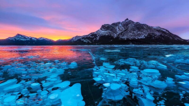 Abraham ice bubble lake/Sunwapta Falls Peyto Lake Bow Lake - A Practical Look at Albertas Winter Wonderland Tour