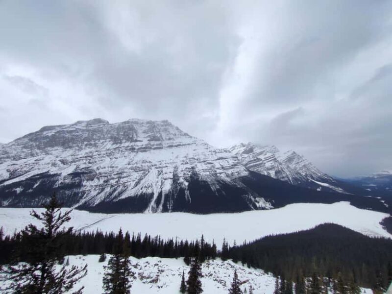 Abraham ice bubble lake/Sunwapta Falls Peyto Lake Bow Lake - Practical Tips for the Tour