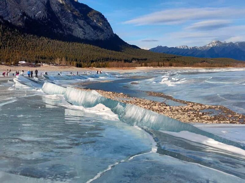 Abraham ice bubble lake/Sunwapta Falls Peyto Lake Bow Lake - Who Should Consider This Tour?