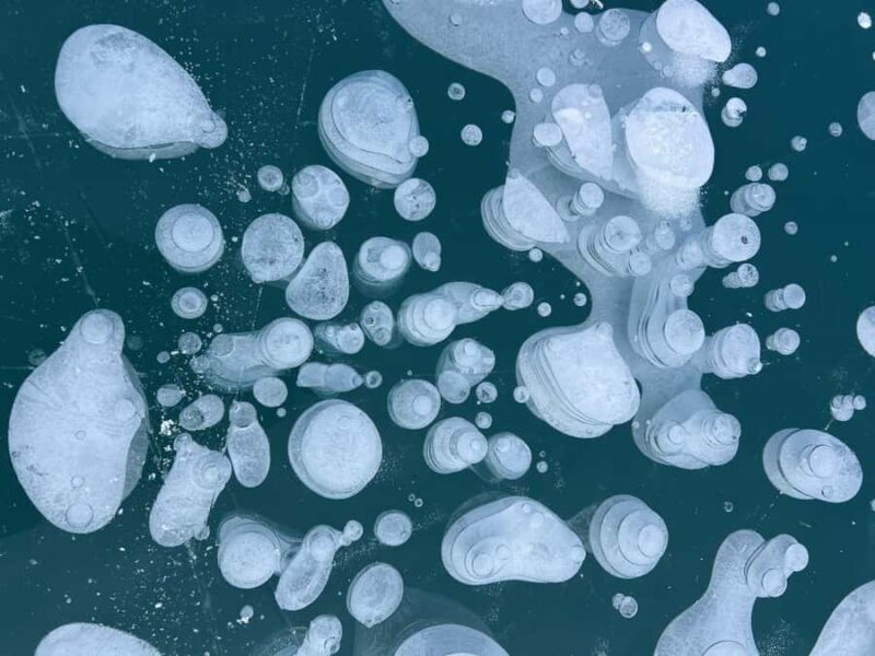 Abraham IceBubble, Peyto, Bow Lake with Snowshoeing& Icewalk - FAQ