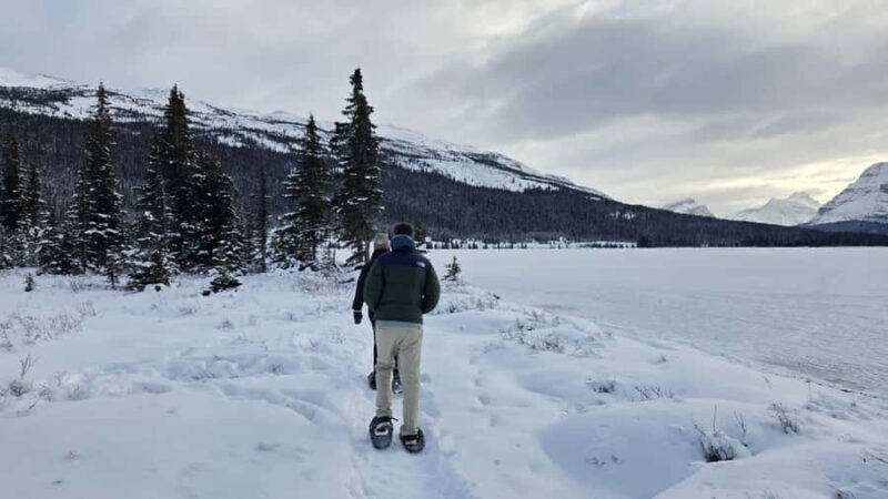 Abraham IceBubble/Sunwapta Falls, Snowshoeing Bow & Peyto - Final Highlights: Athabasca Falls and the Icefield