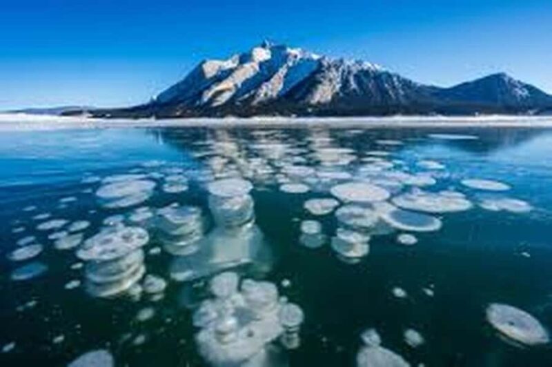 Abraham IceBubble,Bow Lake, Peyto Lake, Lake Louise Day Trip - Is This Tour Worth the Price?