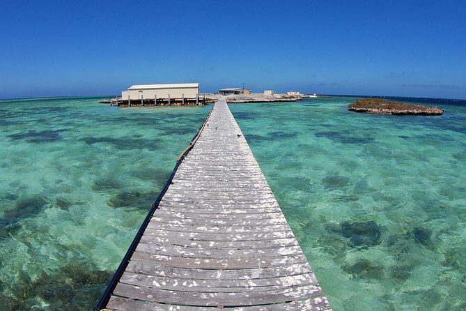 Abrolhos Islands 5 Day Cruise - Key Points