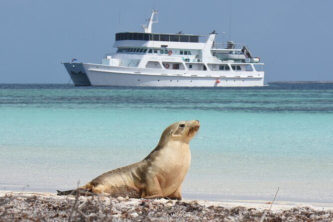 Abrolhos Islands 5 Day Cruise - The Itinerary in Detail: Why It Works