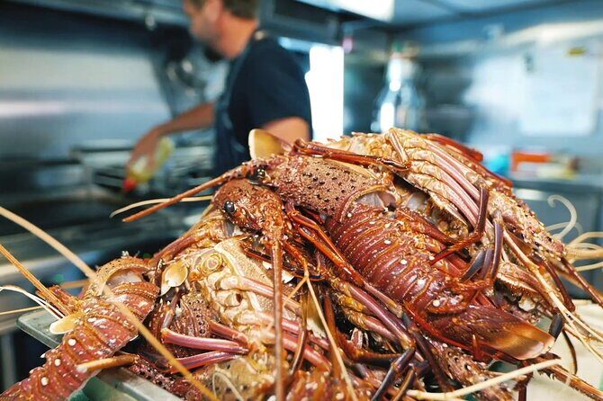 Abrolhos Islands 5 Day Cruise - Who Will Love This Trip?