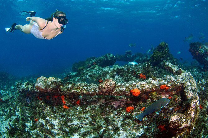 Abrolhos Islands 5 Day Cruise - Final Thoughts: Is It Worth It?