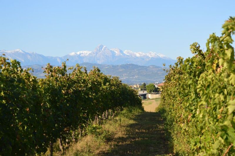 Abruzzo: Historic Cellar Wine Tour and Tasting - Who Should Consider This Experience?