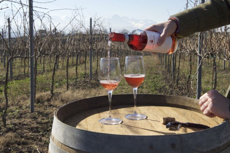 Abruzzo: Historic Cellar Wine Tour and Tasting - Frequently Asked Questions