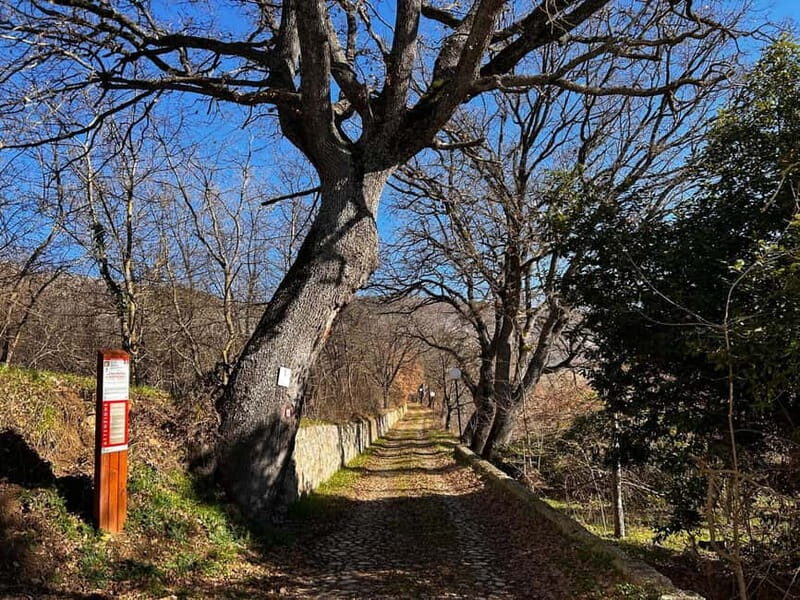 Abruzzo: Incredible e-bike adventures admiring the 4 medieval towers - A Day in the Life: What to Expect on This E-Bike Tour