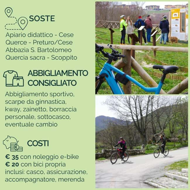 Abruzzo L'Aquila: e-bike tour in the shade of centuries-old oak trees - Why the Oaks Are Special