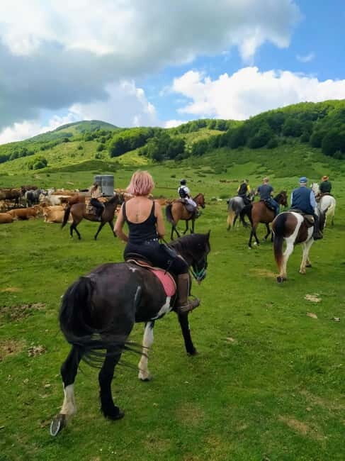 Abruzzo: Simbruini National Park Horseback Daily Adventure - The Value of This Adventure
