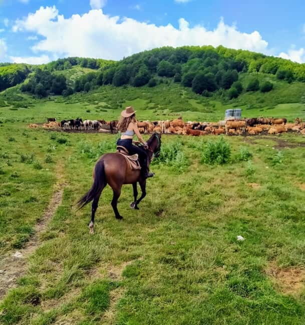 Abruzzo: Simbruini National Park Horseback Daily Adventure - The Sum Up