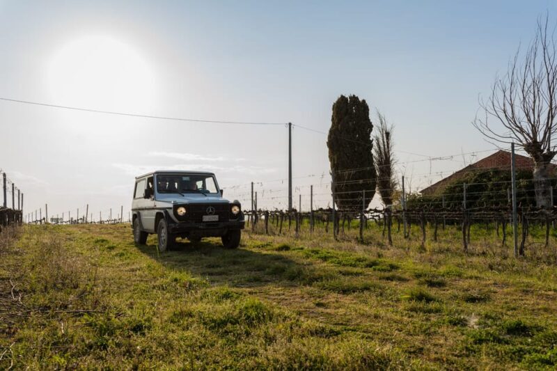 Abruzzo: Vineyard Jeep Tour with Tastings - Authenticity and Overall Experience