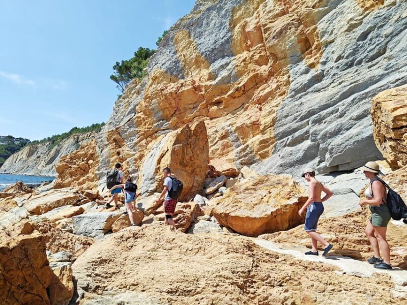 Absolut Calanques de Marseille. Canyons, fisher village and turquoise beach - Who Will Love This Tour?