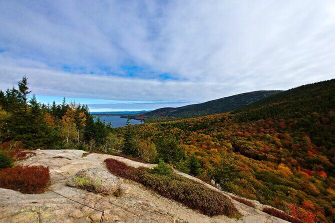 Acadia Full Day Small Group Tour - What to Expect from the Day