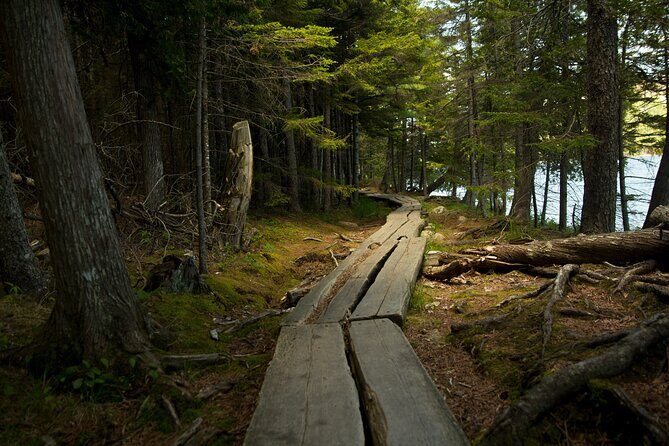 Acadia Full Day Small Group Tour - Authentic Experiences from the Reviews