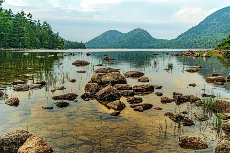 Acadia Half Day Private Bike Tour - How the Experience Looks in Practice