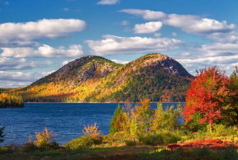 Acadia & Mount Desert Island: Private Full-Day Tour - Key Points