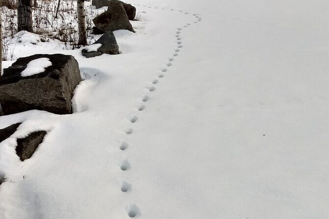 Acadia National Park Winter Wonderland Private Driving Tour - Stop 1: Acadia National Park