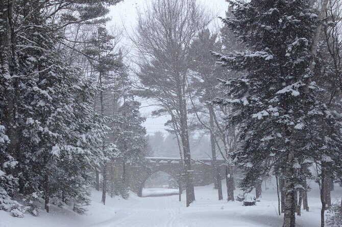 Acadia National Park Winter Wonderland Private Driving Tour - Accessibility and Booking