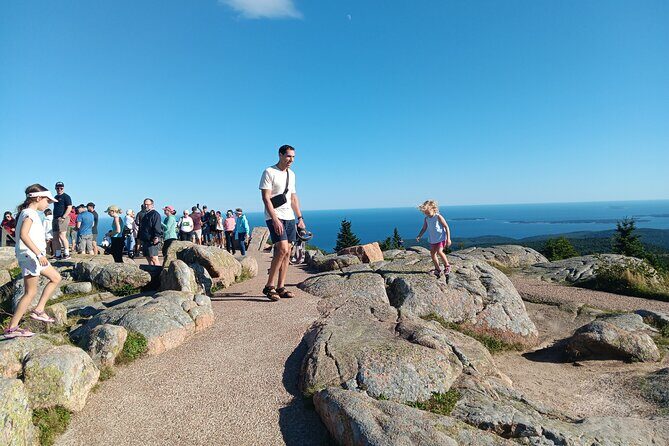 Acadia Woody's Utmost Coast 3 Hour Driving Tour - Introduction: Why Choose This Tour?