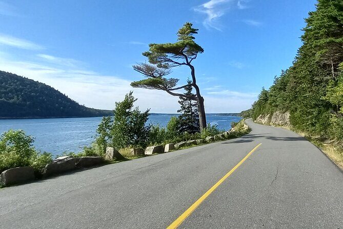 Acadia Woody's Utmost Coast 3 Hour Driving Tour - Practical Details and Tips