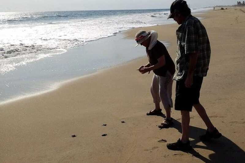 -Acapulco: 6hr City Tour & Turtle Release & High Diver Show - Practical Tips for Participants