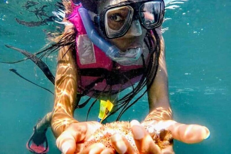-Acapulco: Beach Break Experience with Snorkeling and Lunch - Overview of the Experience